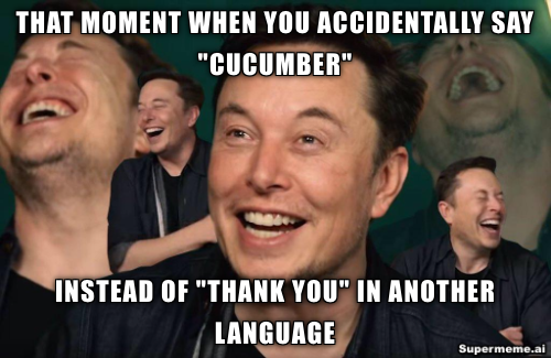 Travel Memes Images 202 - Infoupdate.org